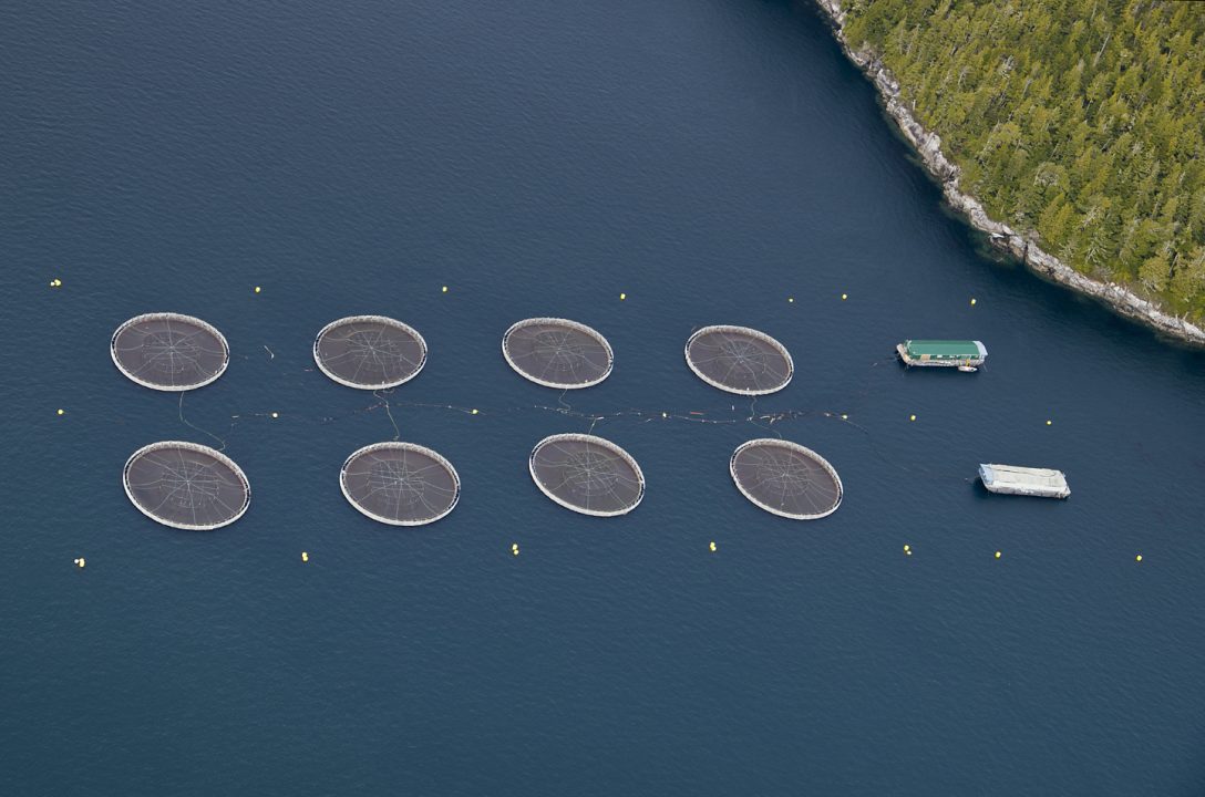 Cautious approval for transition from open-net salmon farming ...