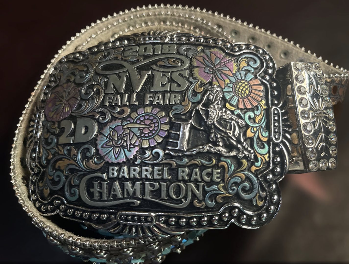 Tough, agile rodeo barrel racers... and Boba - Northern Beat