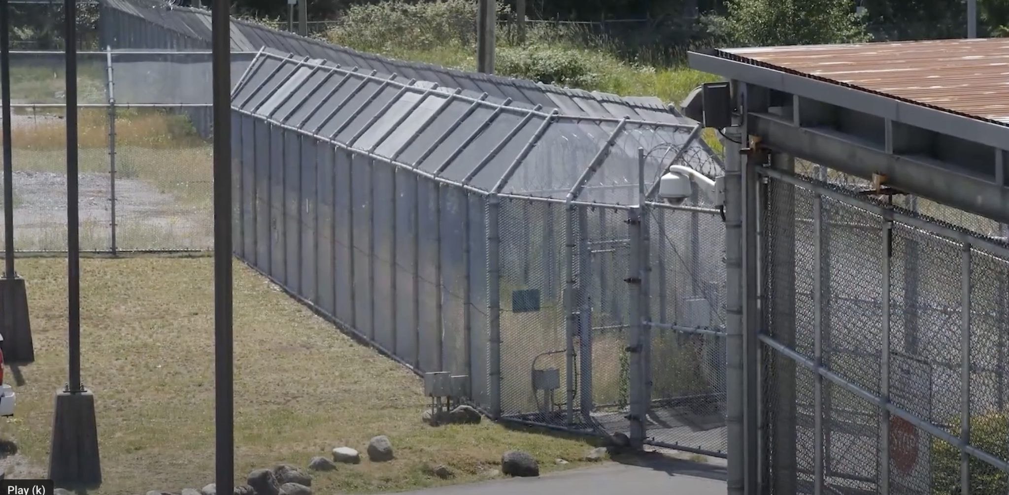 Scarce mental health care in BC jails perpetuates addiction and crime ...