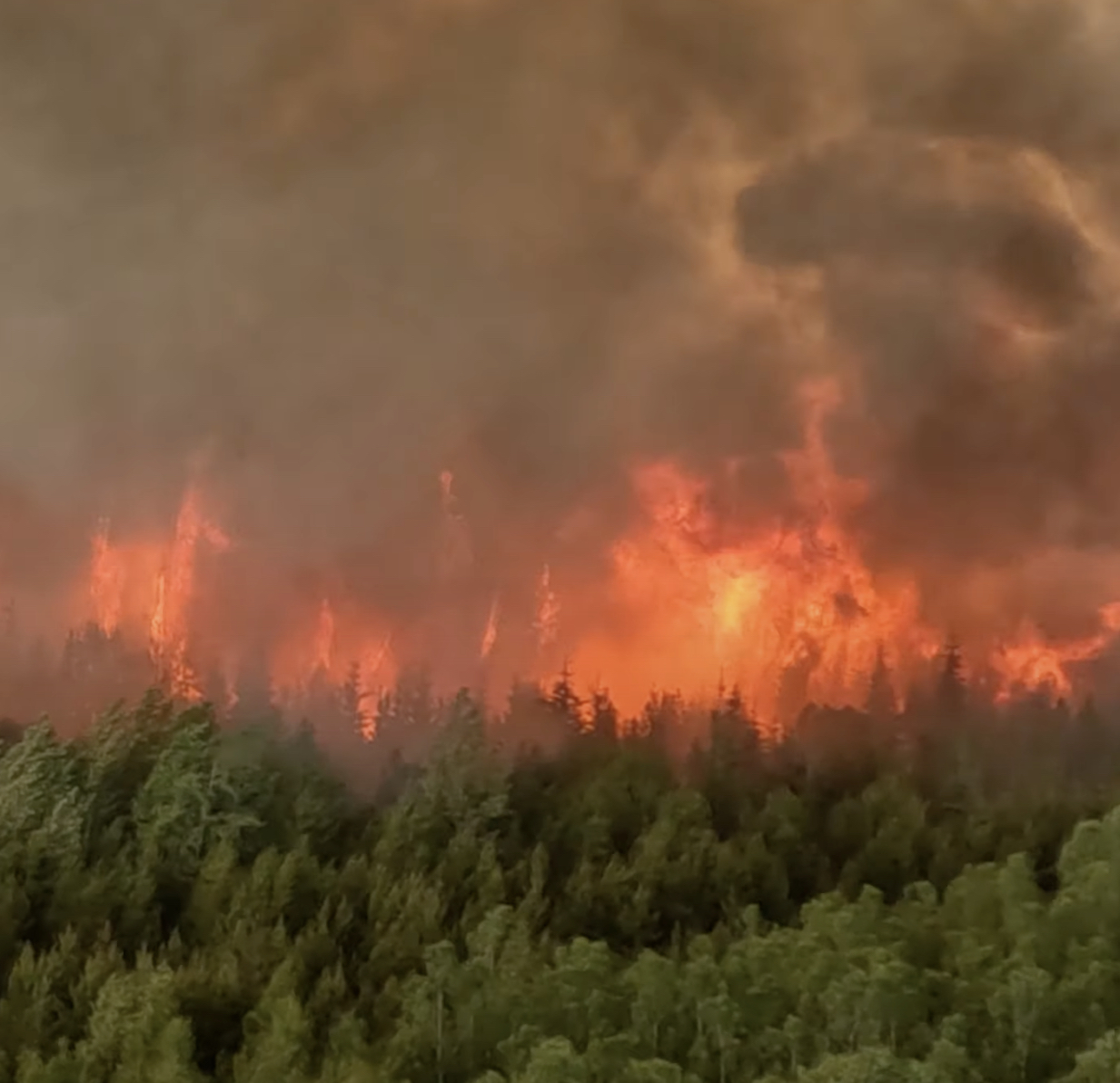 Decades of inaction fuel what may be worst wildfire season ever, says ...