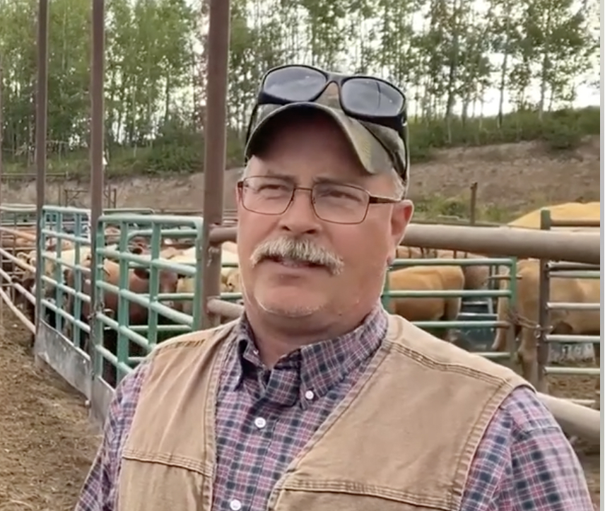 Wildfires raze hay fields, no food for cattle; farmers need recovery ...
