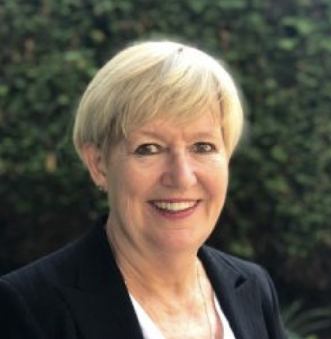 BC Conservatives get boost, pundits mixed on political prospects ...