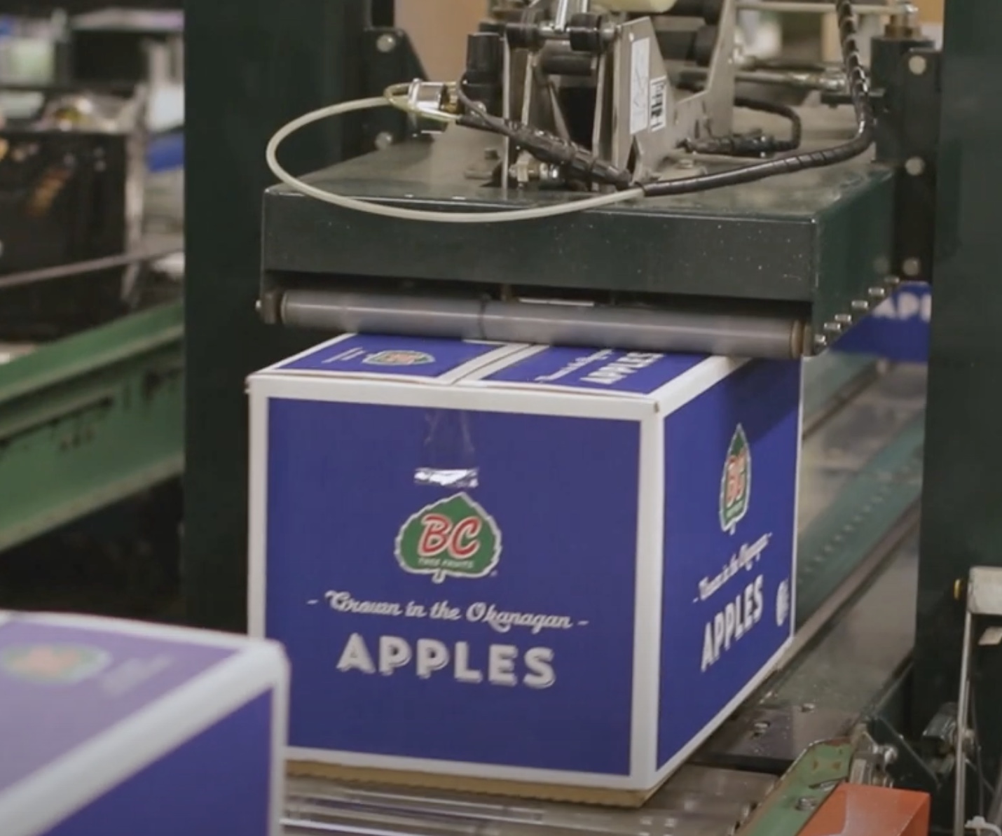 Okanagan growers lose farm-to-table lifeline with tree fruit coop ...