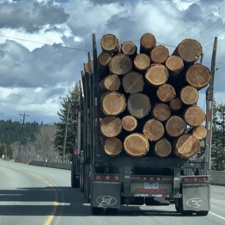 Wildfire of rumours: Finding truth in dangerous times - Northern Beat