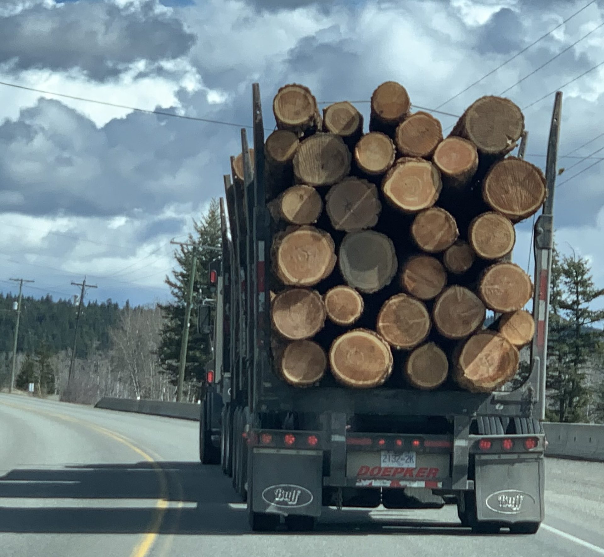 With friends like these, who needs enemies? asks forestry advocate ...