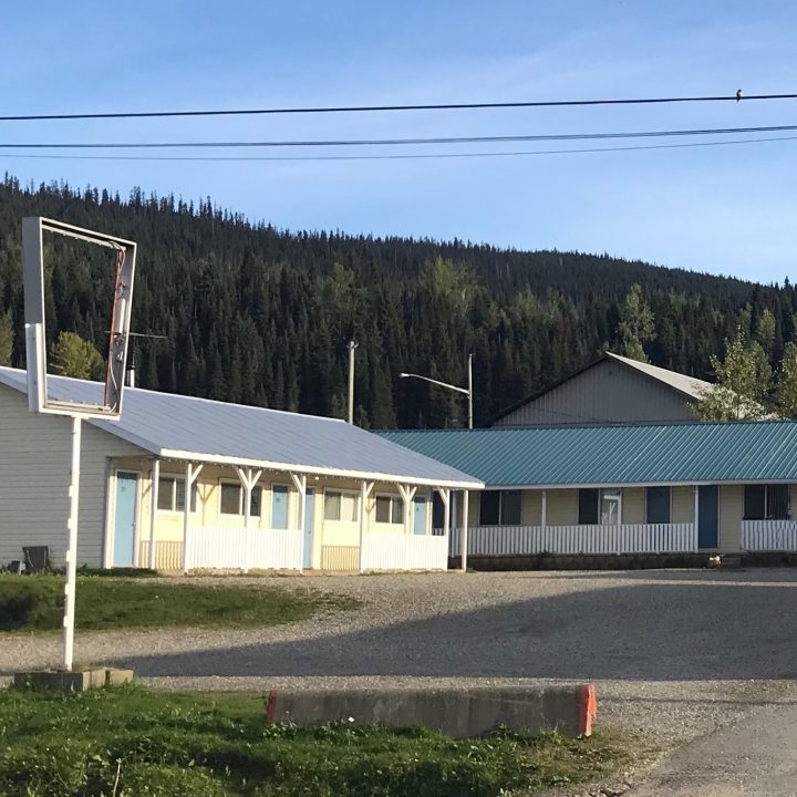 Can't see the forest for the missing trees, says former BC minister ...