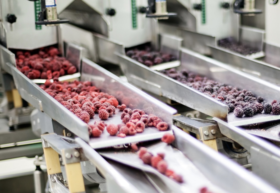 BC should expand food production on agricultural land, say advocates ...